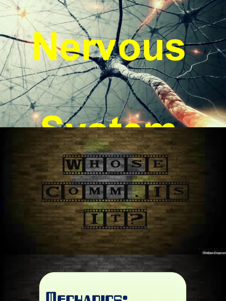 Nervous System (Science 6) | PDF | Nervous System | Central Nervous System