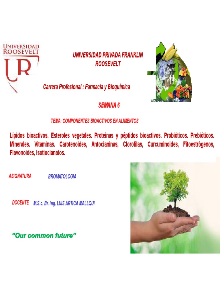 Clase 6. Componentes Bioactivos de Alimentos Ufr | PDF | Antioxidante ...