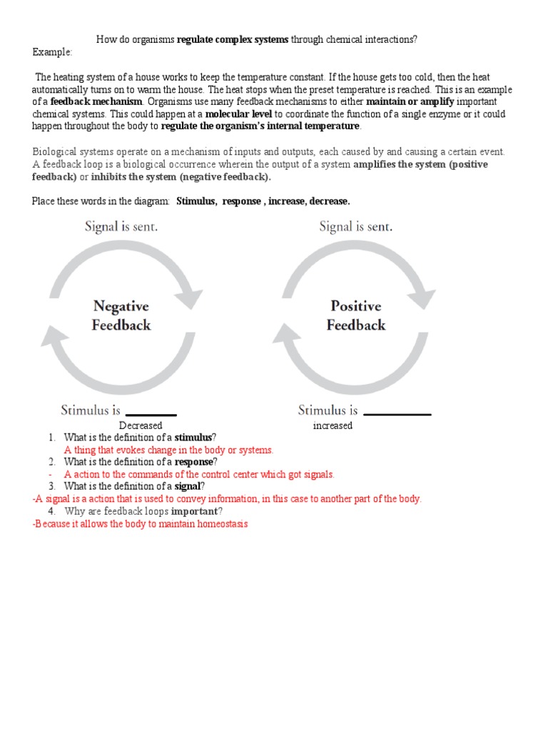 Feedback Mechanism | PDF | Feedback | Stimulus (Physiology)