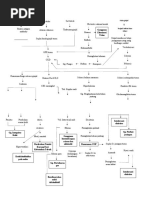 Pathway CKD Sdki | PDF