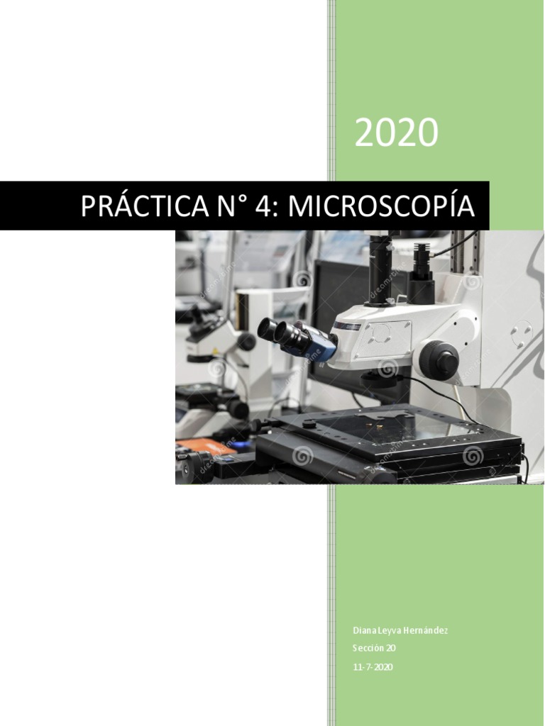 Observación de muestras biológicas utilizando un microscopio óptico y ...