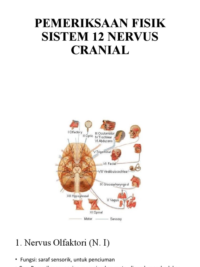 Cara Pemeriksaan 12 Saraf Kranial | PDF