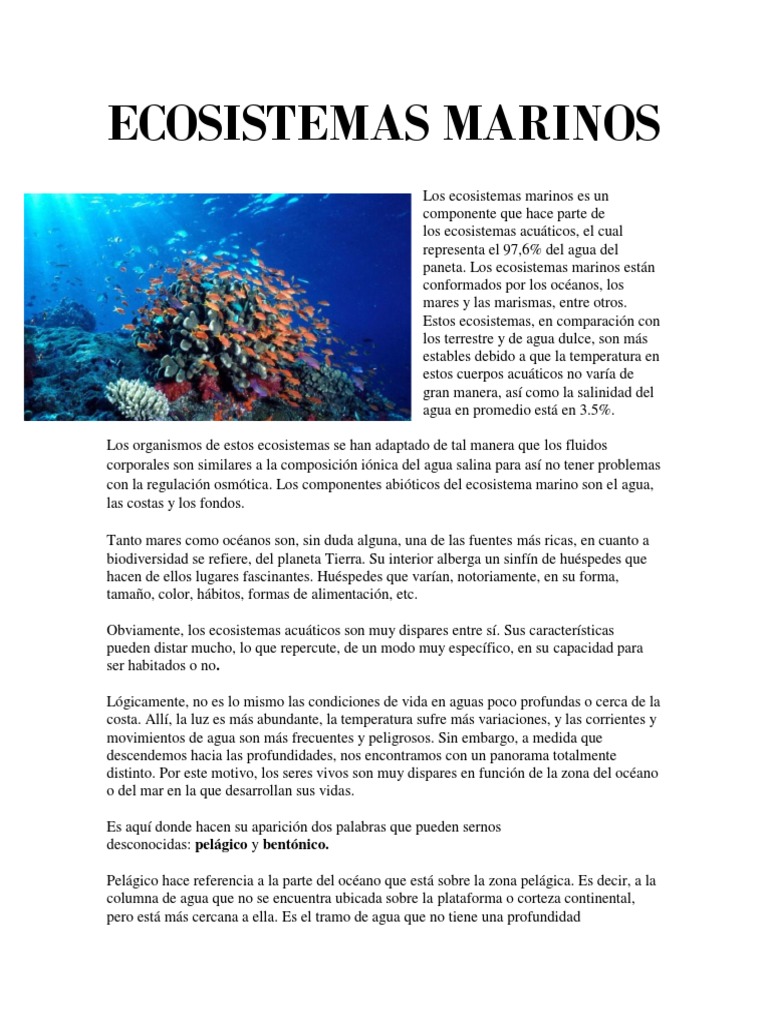 Ecosistema Marinos | PDF | Mar | Ecologia Acuatica