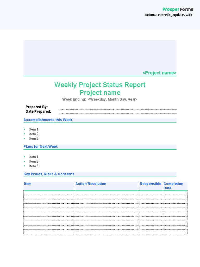 Weekly Project Status Update | PDF