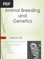 Principle of Animal Breeding | PDF | Genetics | Ploidy