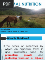 Animal Nutrition Notes PDF | PDF | Digestion | Ruminant