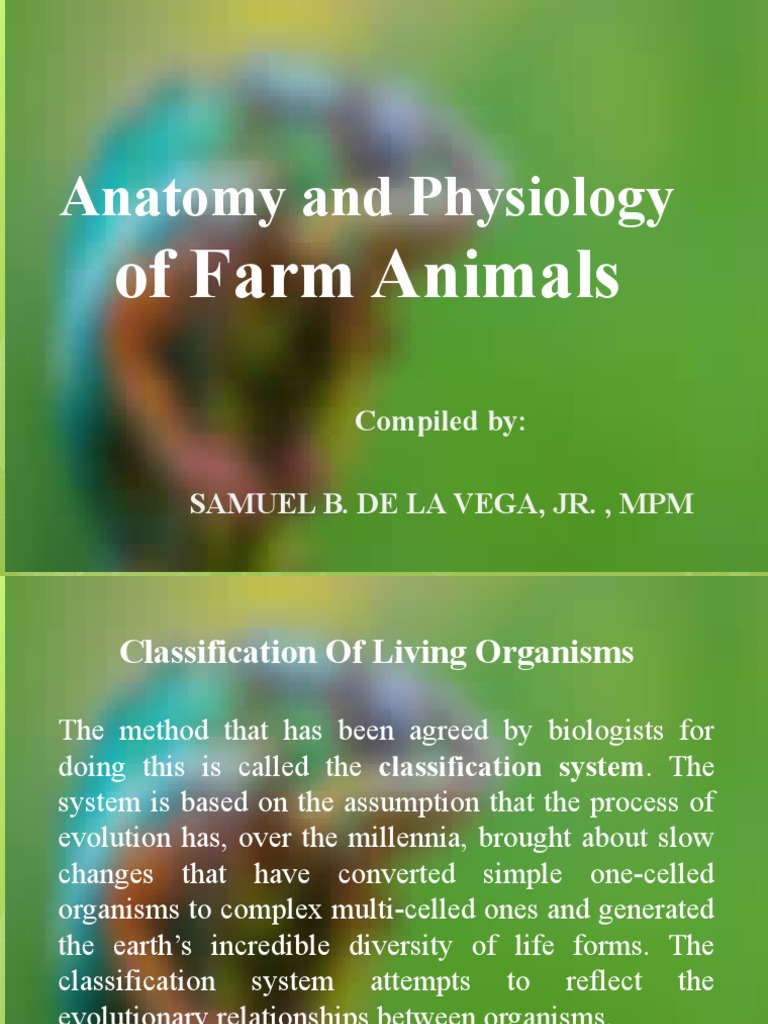 Anatomy and Physiology of Farm Animals | PDF | Artery | Heart