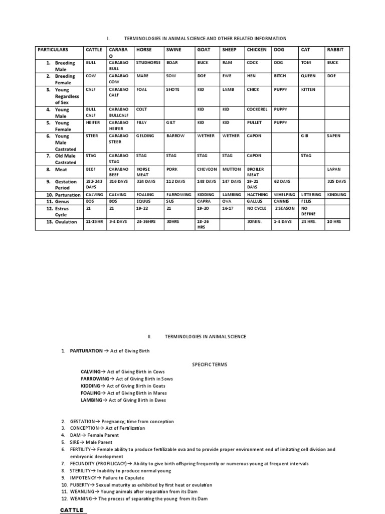 Key Terminologies in Animal Science | PDF | Mare | Cattle