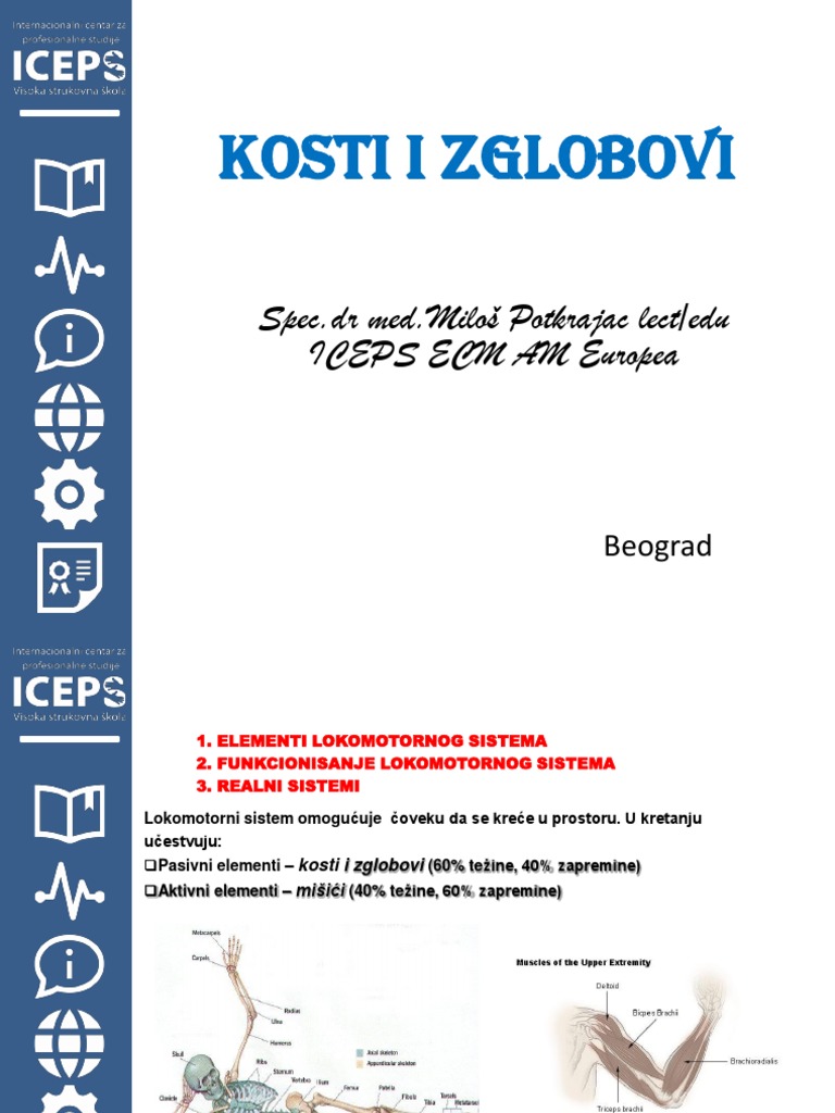 Anatomija Kosti I Zglobovi DR - Med - Miloš Potkrajac | PDF