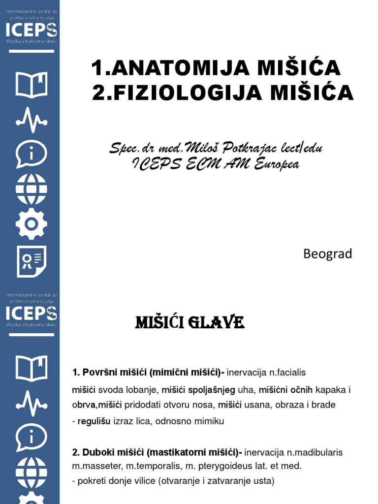 Anatomija I Fiziologija Mišića DR - Med - Miloš Potkrajac | PDF