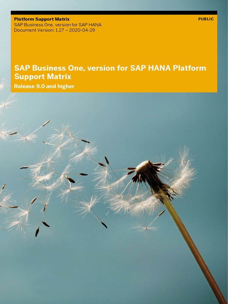 SAP Business One, Version For SAP HANA Platform Support Matrix | PDF ...