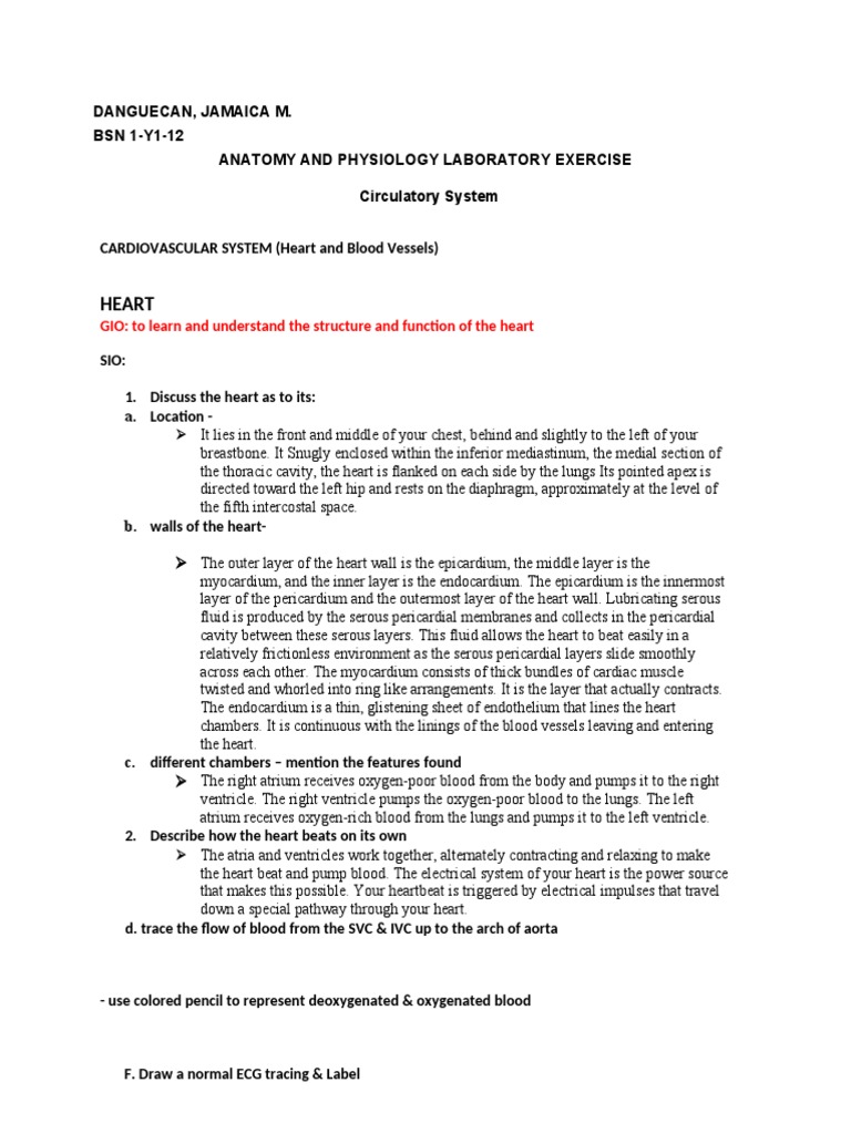 Lab Report #6 CIRCULATORY SYSTEM | PDF | Heart Valve | Artery
