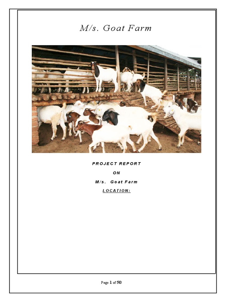 Goat Farm | PDF | Sheep | Goat