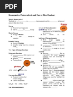 Set-On and Set-Through Nozzle Installation | PDF | Chemistry ...