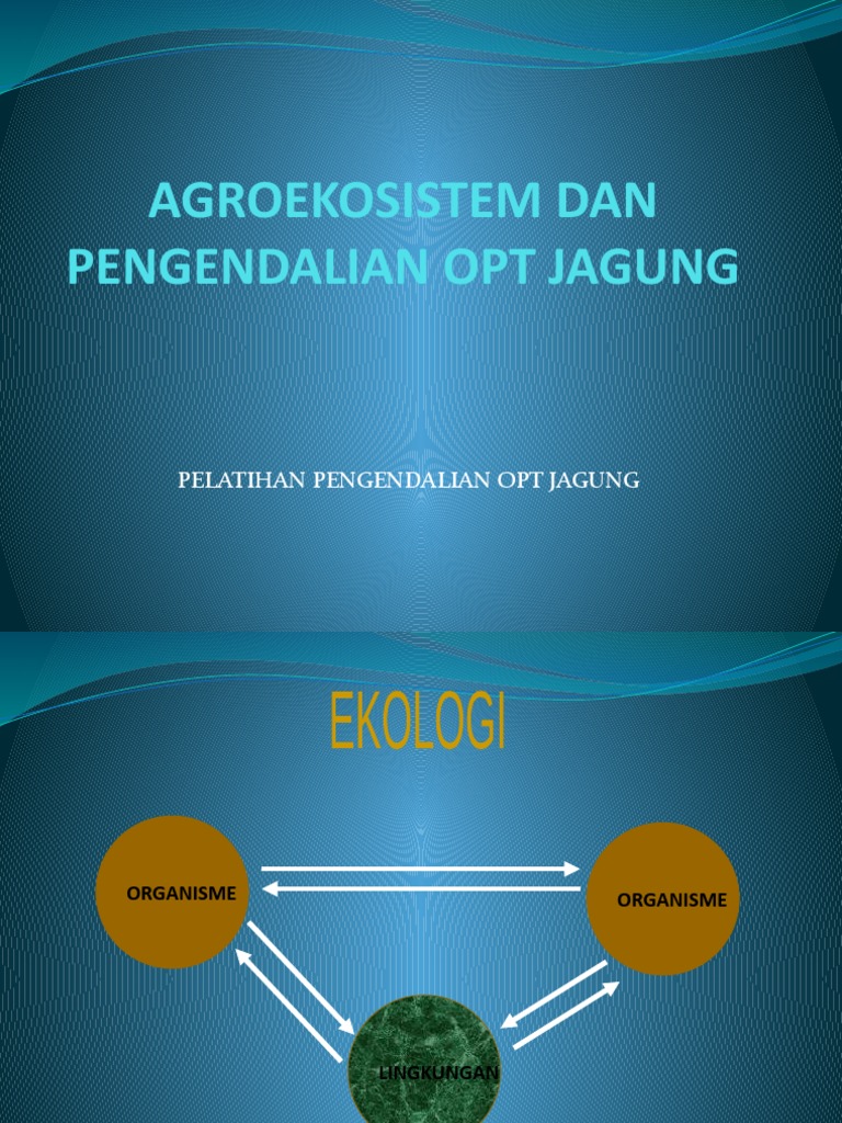 Pengendalian OPT pada Tanaman Jagung | PDF
