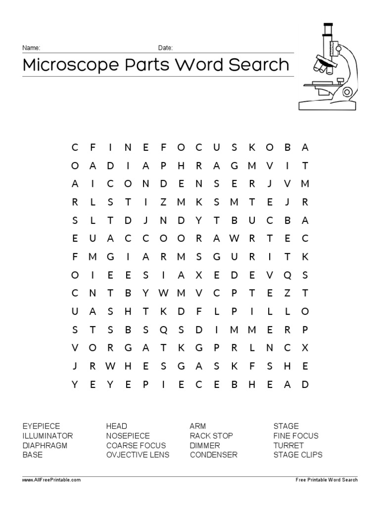 Microscope Parts Word Search: Name: Date | PDF | Measuring Instrument ...