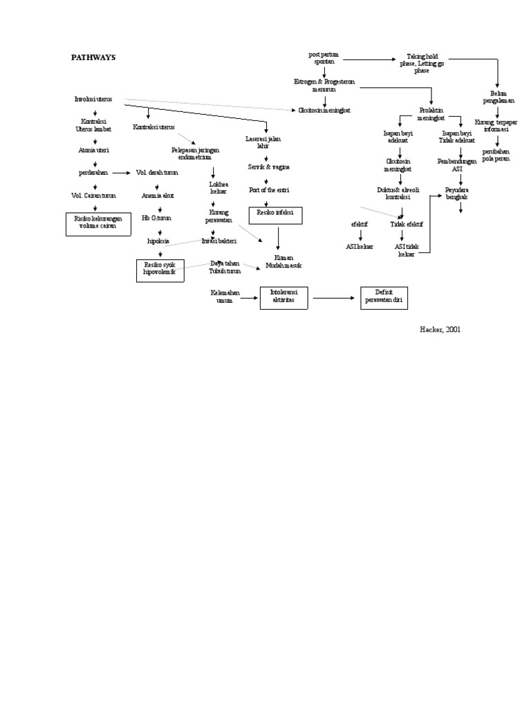 Pathway Post Partum | PDF