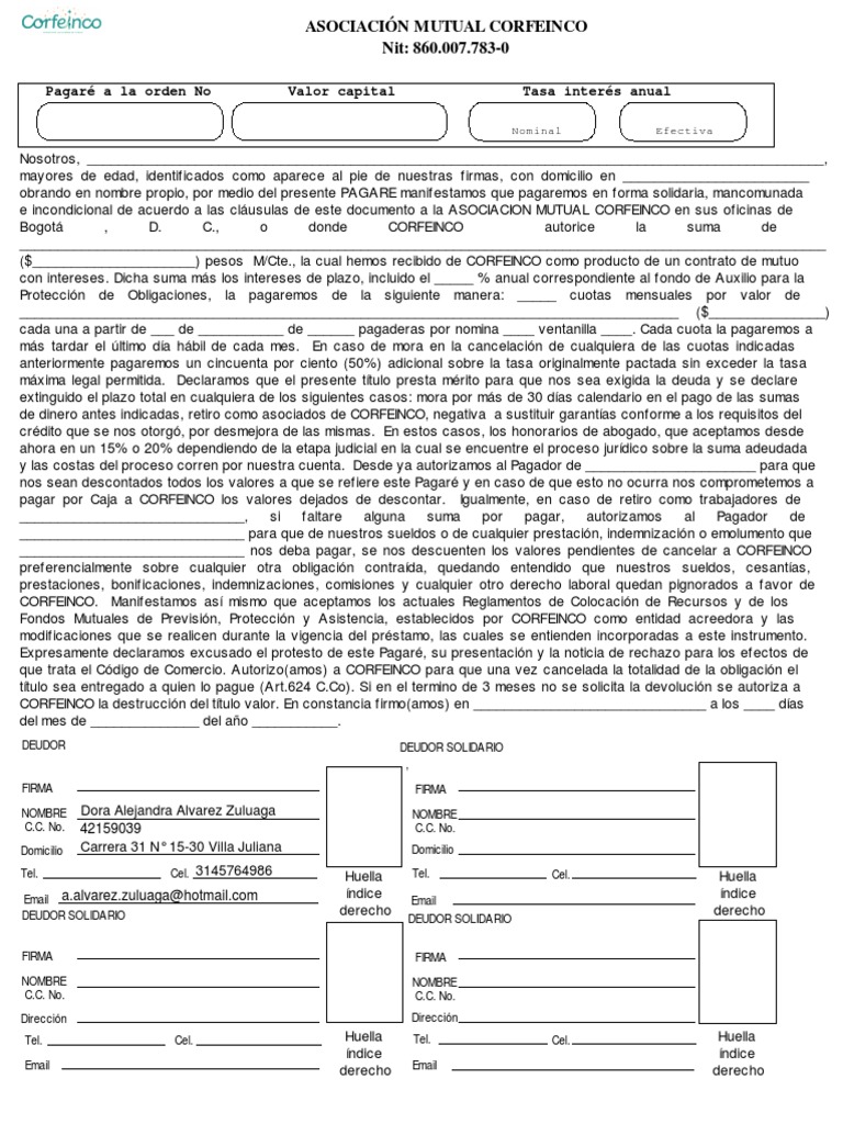 13 Pagare en Blanco Editable | Descargar gratis PDF | Responsabilidad ...