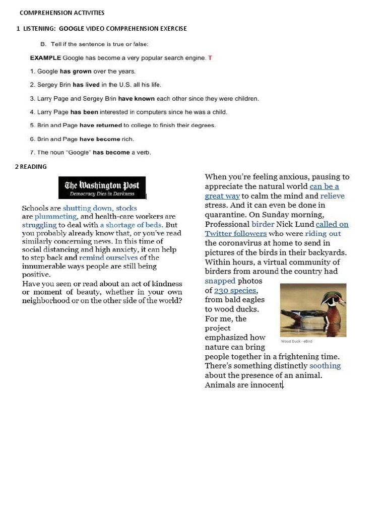 Google Video Comprehension Exercise | PDF | Web Search Engine ...
