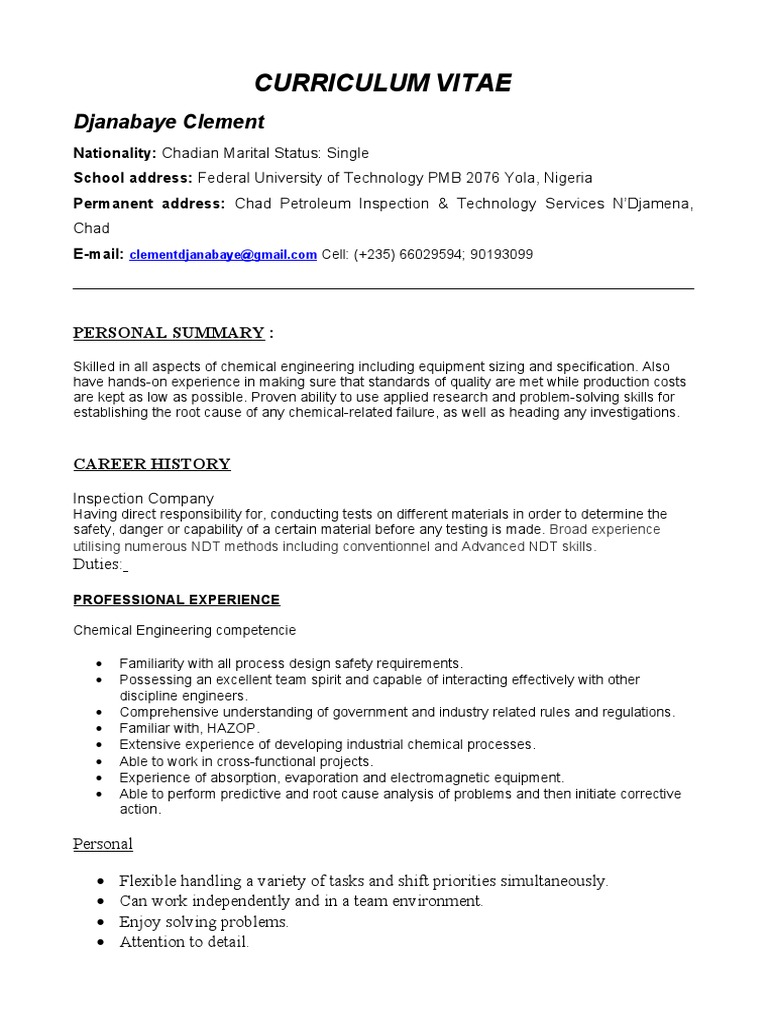CV Clement For Process Engineering | PDF | Nondestructive Testing ...