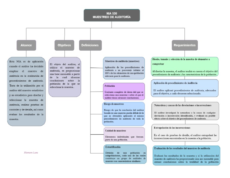 Mapa Conceptual de La NIA 530 | PDF