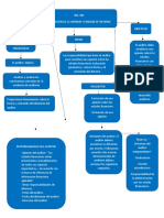 Nia 706 Mapa Mental | PDF