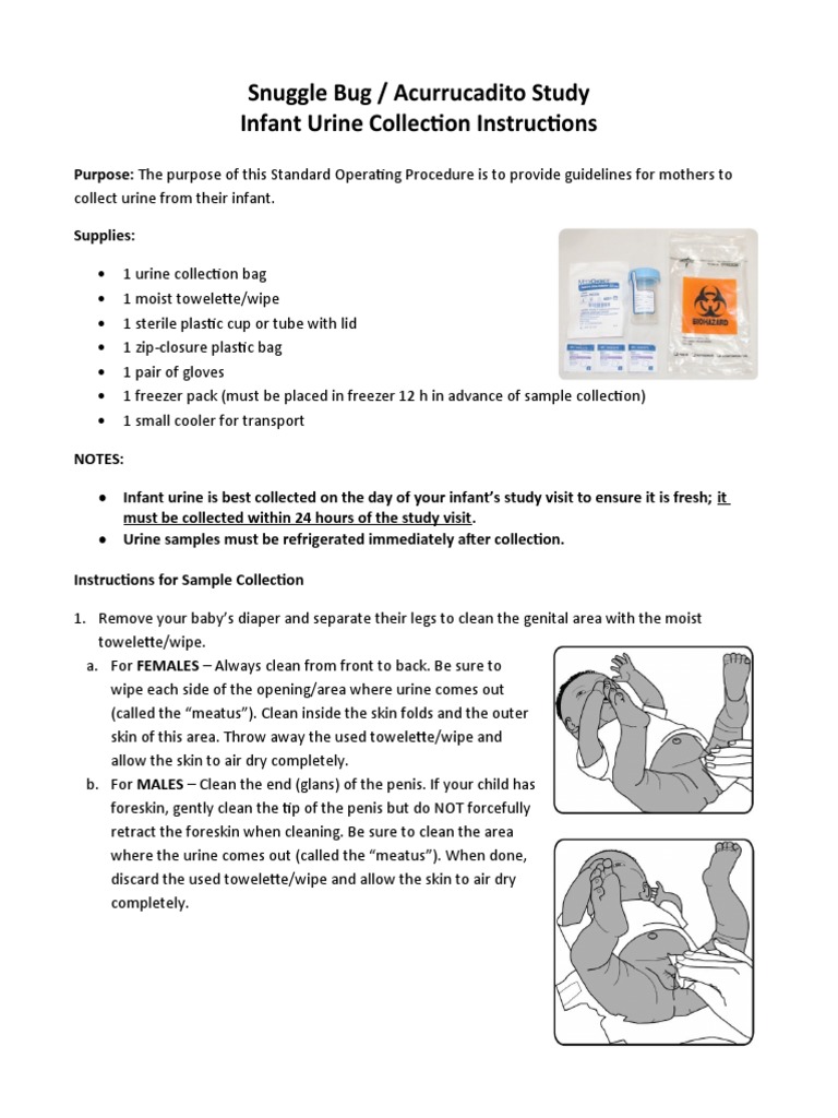 Biosample Urine Sample Collection Protocol Infant v2 | PDF