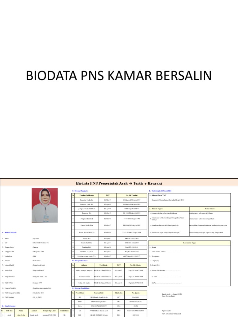 PP Biodata PNS | PDF