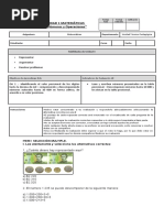 Guia de Divisiones 3 Basico | PDF | Enseñanza de matemática