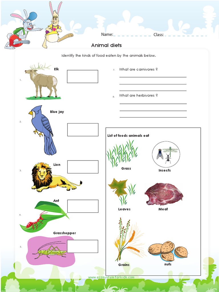 Animal Diets: Carnivores vs Herbivores | PDF