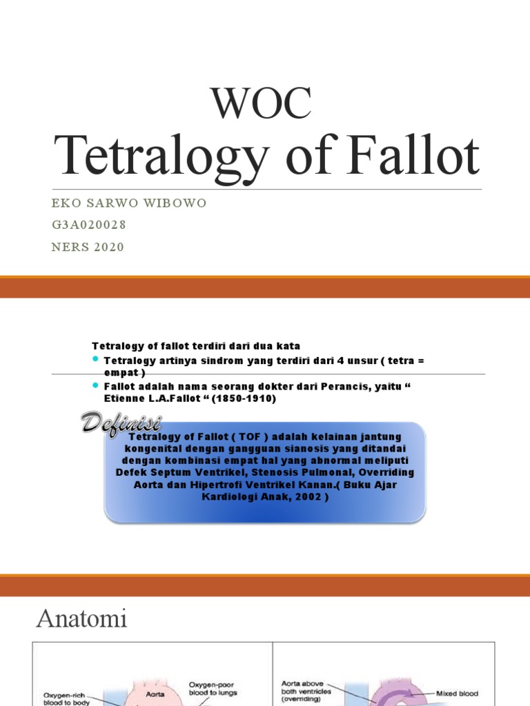 WOC TOF Eko Sarwo Wibowo G3A020028 | PDF
