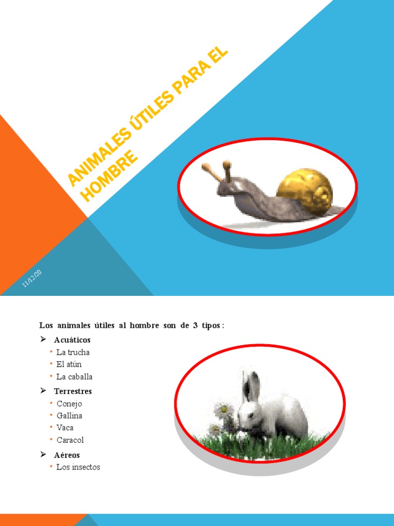 Animales Útiles Al Hombre - Biología | PDF | Trucha | Insectos