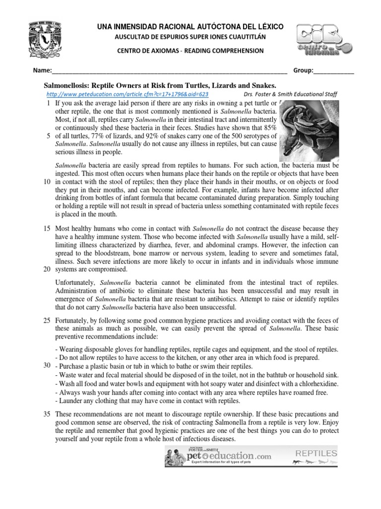Salmonella Risks for Reptile Owners | PDF | Salmonella | Infection