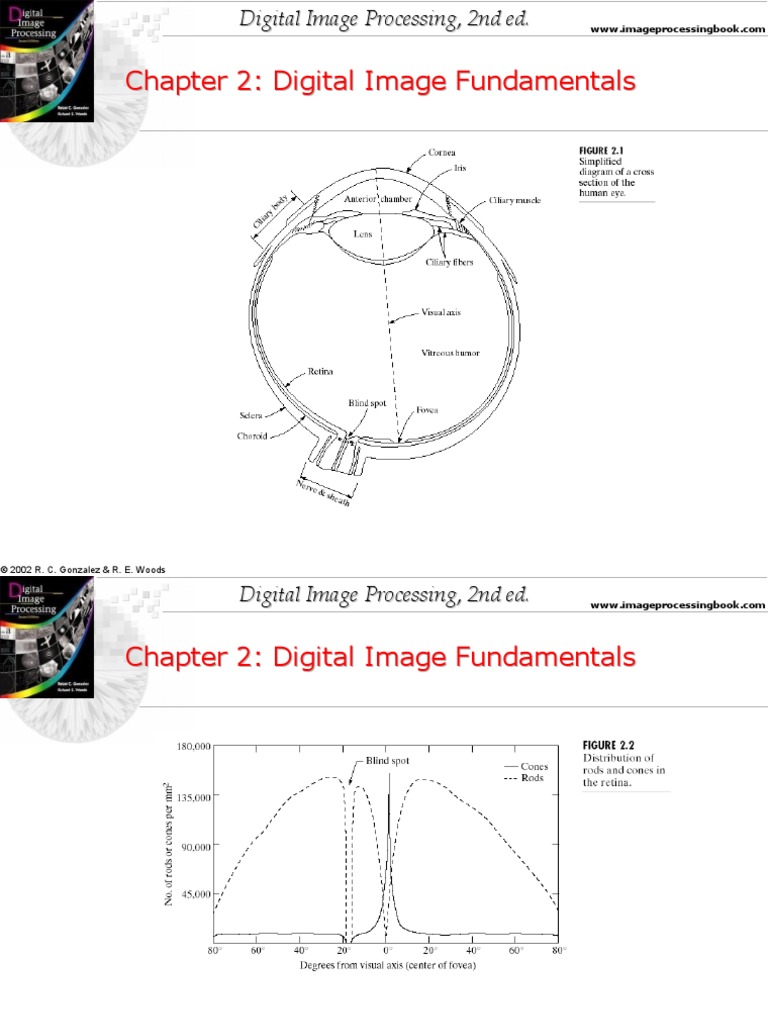 Chapter 2: Digital Image Fundamentals | PDF | Digital Signal Processing ...
