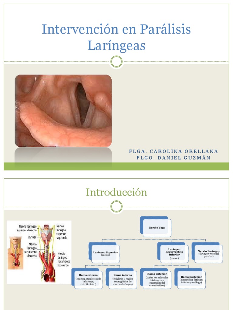 Intervención en Parálisis Laríngeas UNAB | PDF | Nervio vago | Cabeza y ...