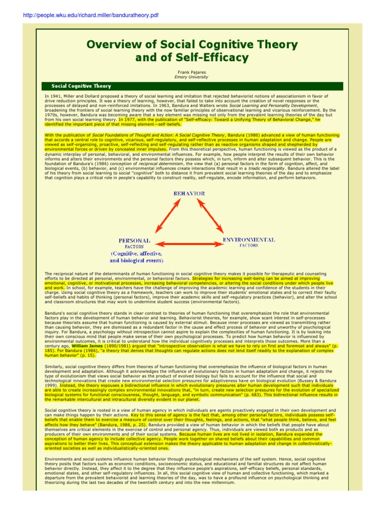 Overview of Social Cognitive Theory and of Self Efficacy | PDF | Self ...