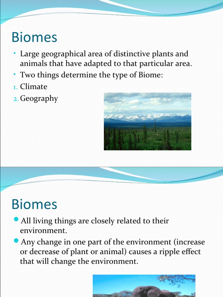 Biomes | PDF | Grassland | Wetland