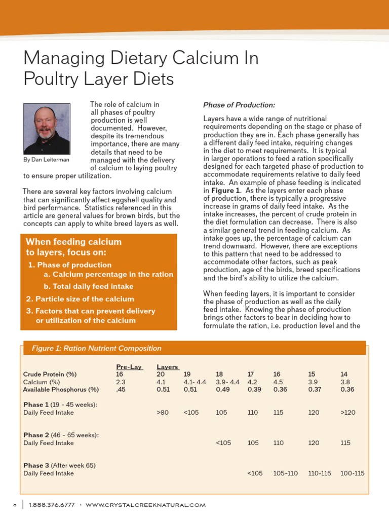 Managing Dietary Calcium in Poultry Layer Diets: When Feeding Calcium ...