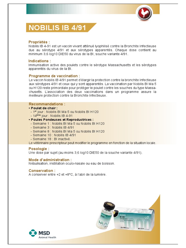 Vaccin Nobilis IB 4/91 pour poulets | PDF | Vaccination | Poulet