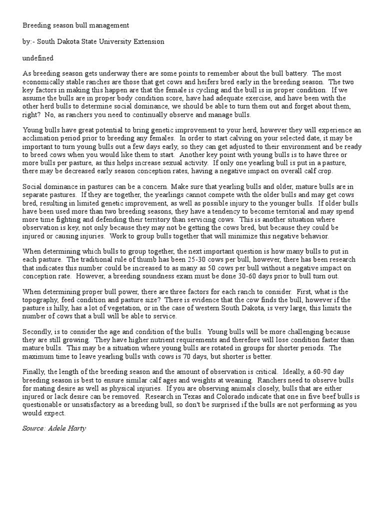 Breeding Season Bull Management | PDF | Calf | Cattle