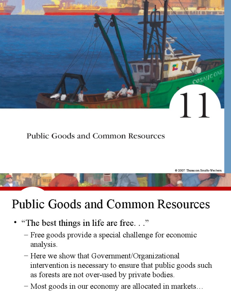 Lecture Slides 2 - Public Goods | PDF | Cost–Benefit Analysis | Goods
