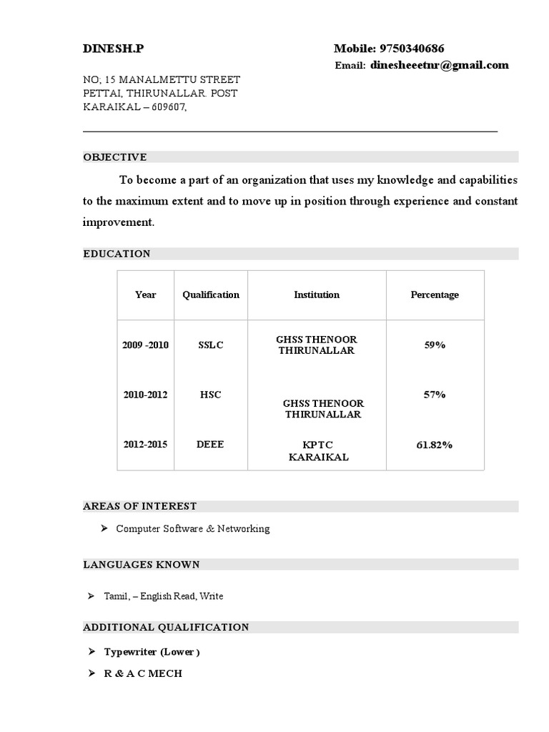 Dinesh P's Resume Overview | PDF