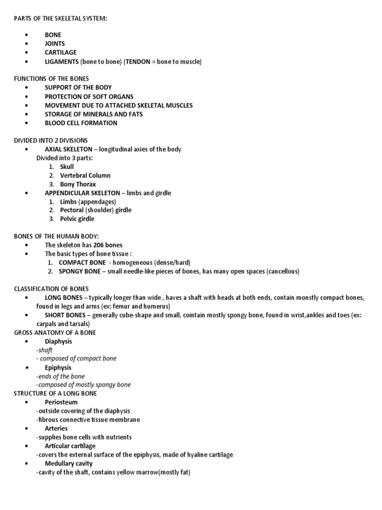 Skeletal System Reviewer | PDF | Skeleton | Bone