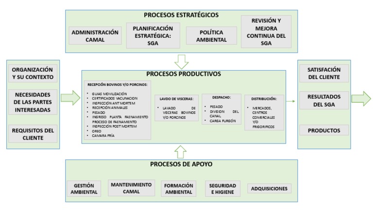 Mapa de Procesos del Camal en Yantzaza | PDF | Business | Economias