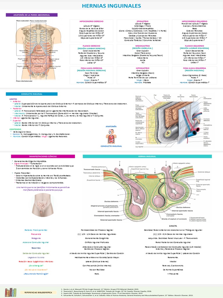 JLSM - Infografía Hernia Inguinal | PDF | Intestino grueso | Anatomía