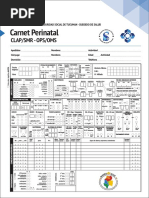 Carnet Control Prenatal | PDF | El embarazo | Partería