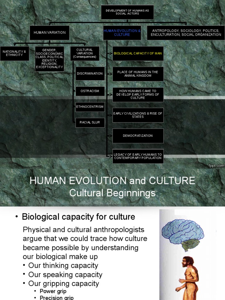 The Biological and Cultural Evolution of Humans as Social Beings | PDF ...