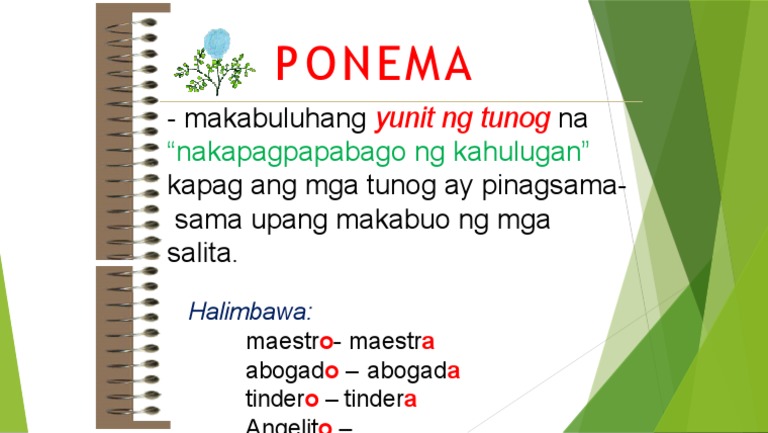 PONEMA | PDF