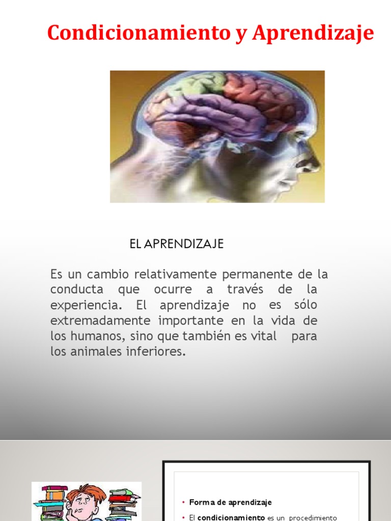 Aprendizaje y Condicionamiento PDF | PDF | Reforzamiento | Las emociones