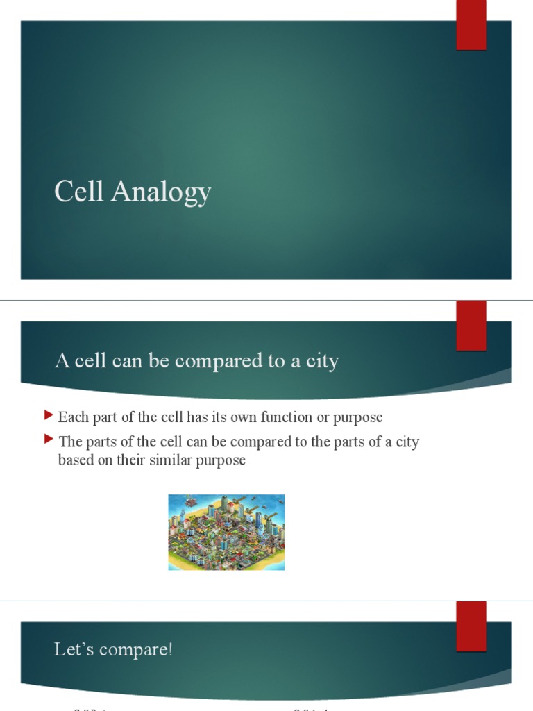 1 Cell Analogy Assignment | PDF | Cell Nucleus | Cell (Biology)